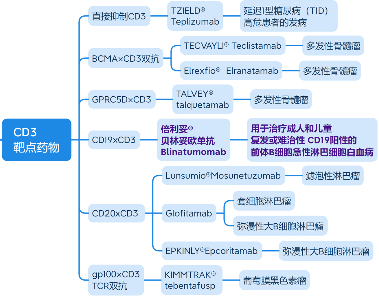 记住所有FDA生物药 | BCMA×CD3双抗 | Elrexfio® Elranatamab | 多发性骨髓瘤 – 肖恩记药