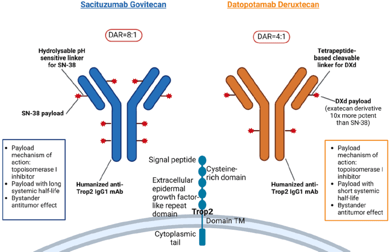 记住所有FDA生物药 | 治疗乳腺癌 | TROP2-ADC | Datopotamab Deruxtecan – 肖恩记药